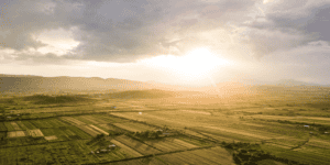 Solar Land Leases: A Landowner’s Guide | Genie Solar Energy